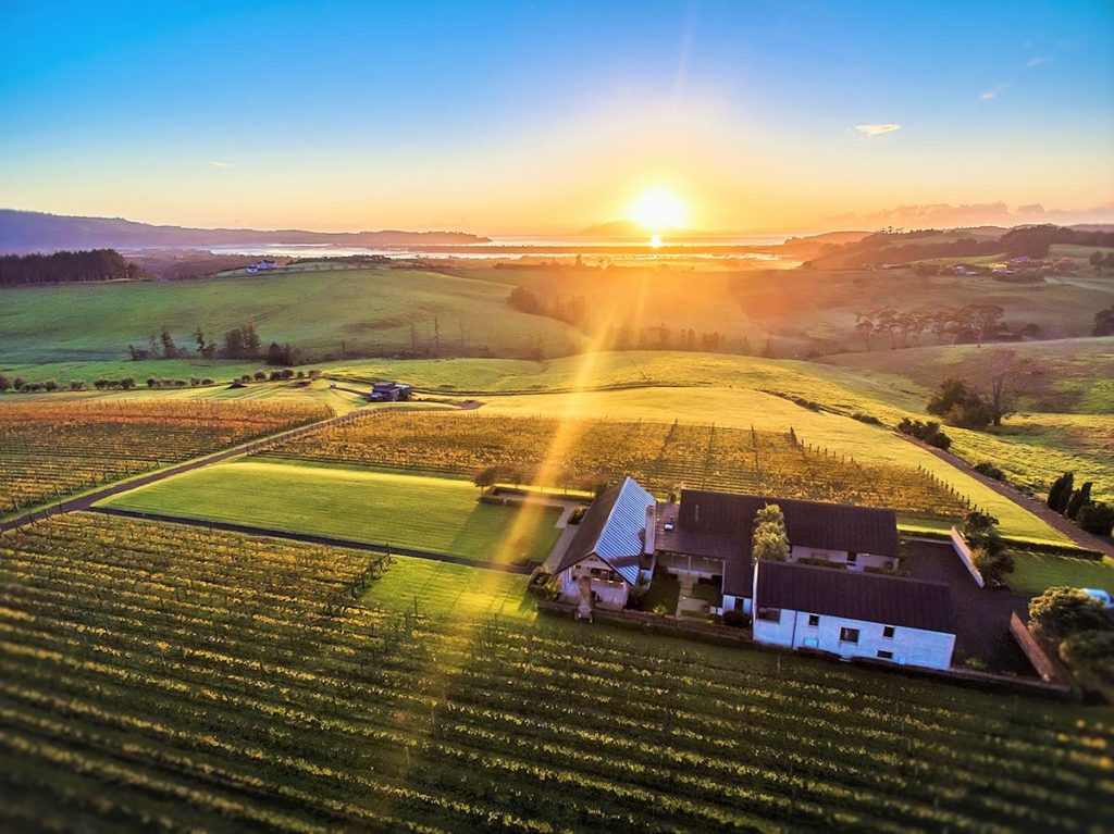Gorgeous, Boutique Matakana Wineries Are Just 1 Hour From Auckland